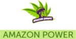 Exquisite Original Acai Recipes - Amazon Power